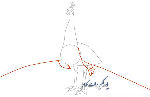 آموزش نقاشی طاووس برای کودکان | یاد بگیر